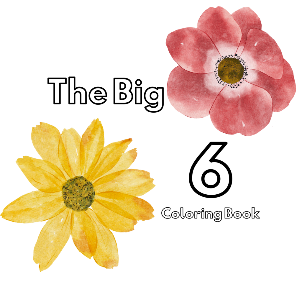 Shop – King's Ranch Ministries